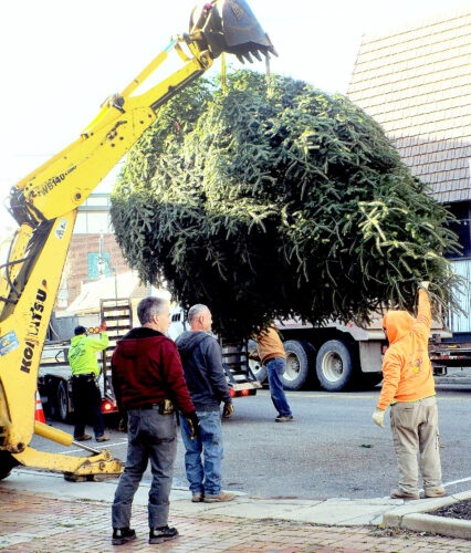Christmas tree arrives in EL | News, Sports, Jobs - Morning Journal
